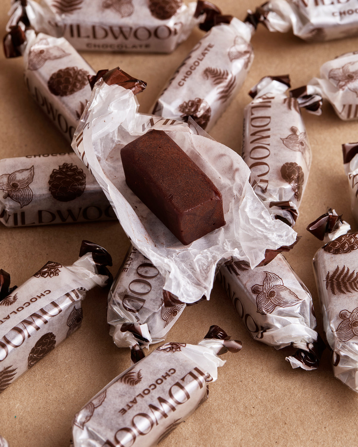 Chocolate Caramel Box | Wildwood Chocolate | Award Winning | Handcrafted